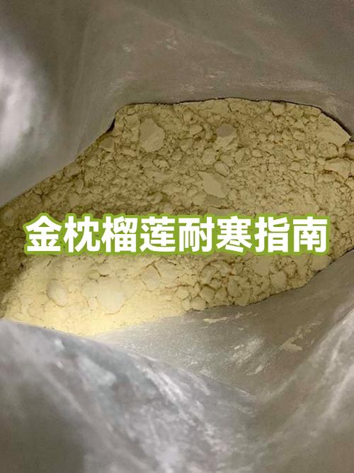 榴莲怎么保存不会坏图标