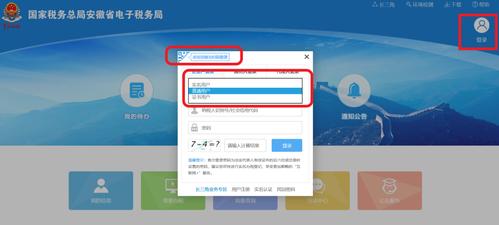 国家税务平台登录入口图标