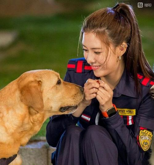 神犬小七第三季在线观看截图