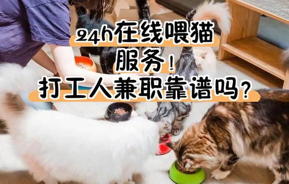 能兼职喂养吗截图
