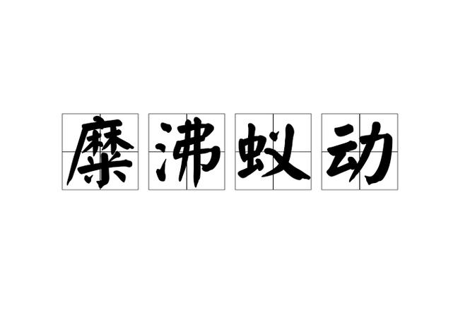 小蚁yi一代运动相机图标
