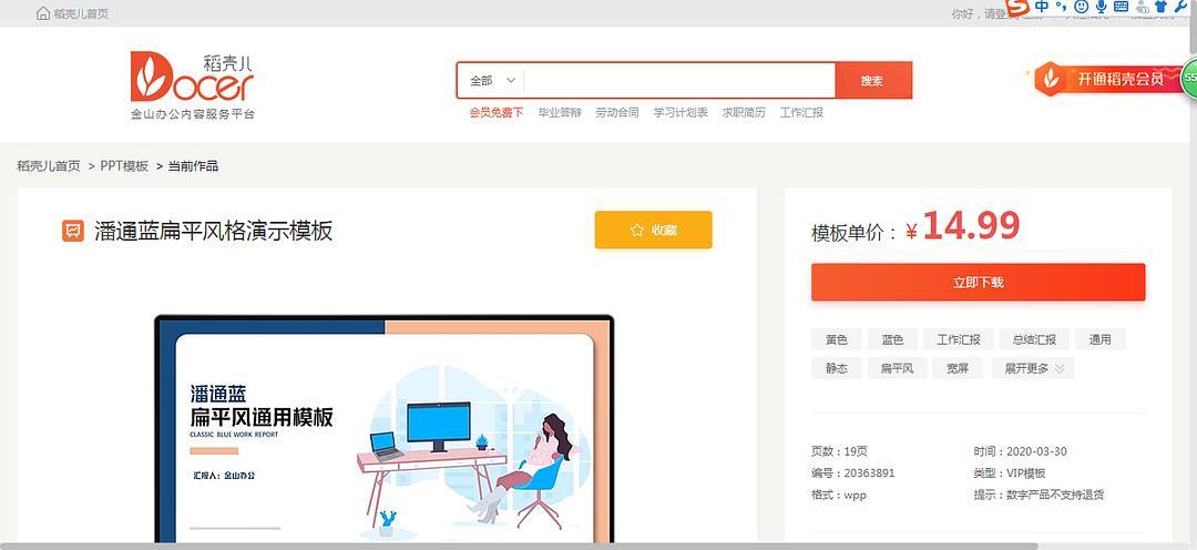 稻壳儿收入截图