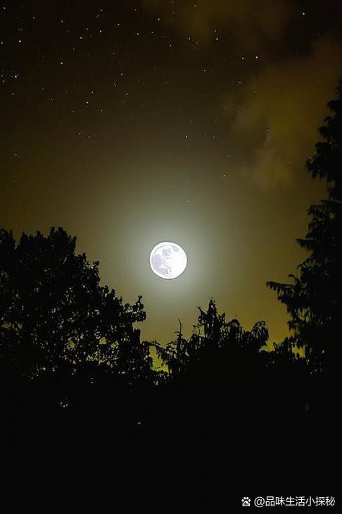 夜景拍照图标