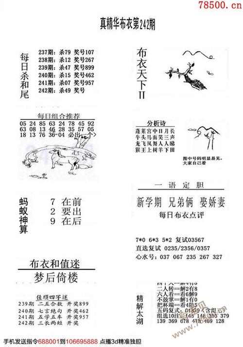精华布衣精华123456天齐网截图