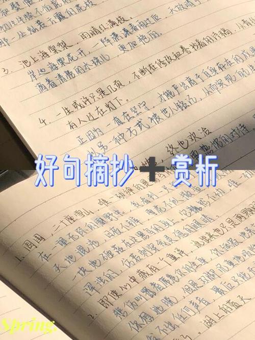 好句摘抄及欣赏图标