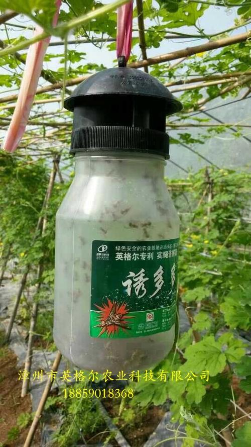 最受九香虫欢迎诱捕剂