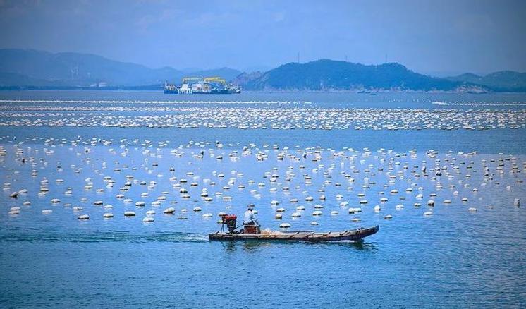 海岛,渔场,牧场海岛图标