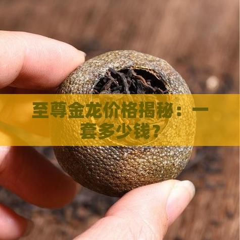 至尊金龙多少钱图标