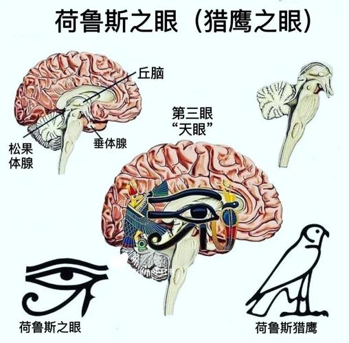 荷鲁斯之眼免费完整版在线观看