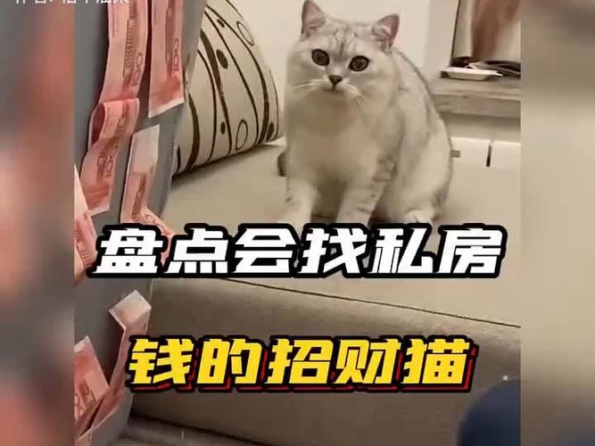 招财小猫咪找私房钱图标