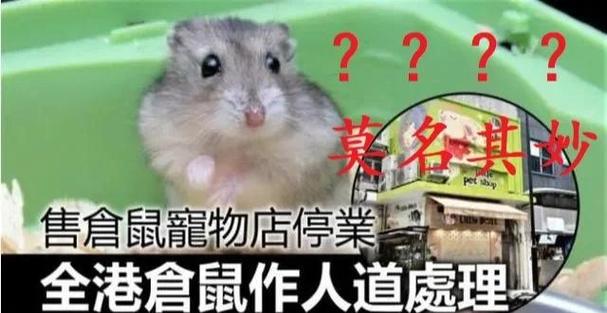 仓鼠病毒会传染人吗图标