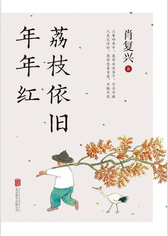 荔枝阅读图标