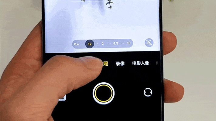 vivo动态照片怎么图标