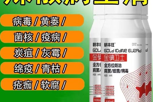 清病毒截图