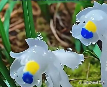 玉软花又柔小说全文免费阅读图标