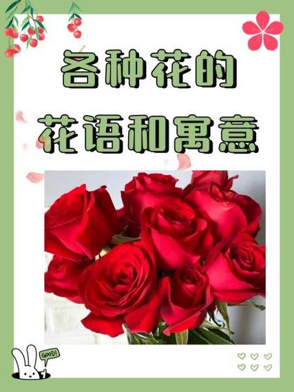 所有花的含义和花语截图