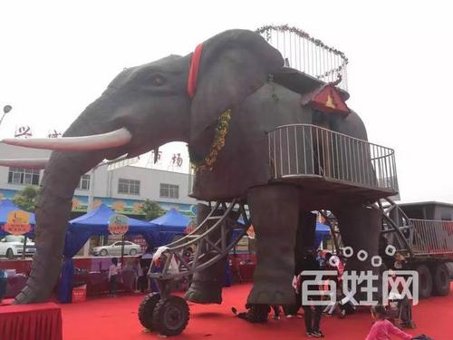 大象租机是哪里的图标