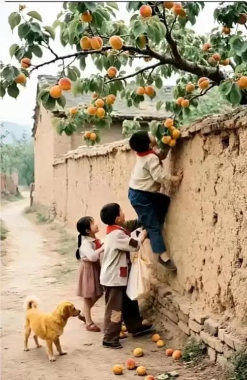 回忆童年图标