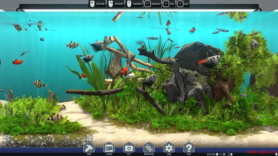 水族馆模拟器免广告截图