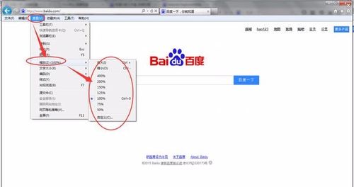 ie浏览器缩放比例怎么设置固定图标