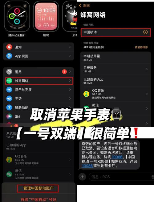 如何绑定手表app