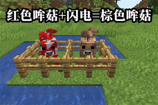 我的世界棕色蘑菇怎么种图标