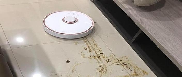 扫地机不动了怎么办截图