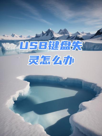 键盘的usb驱动误删了怎么办