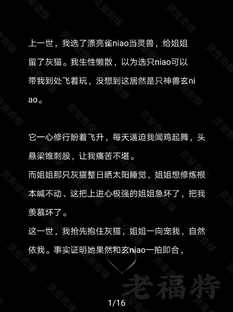 双修师娘是林婉怡的小说吗图标