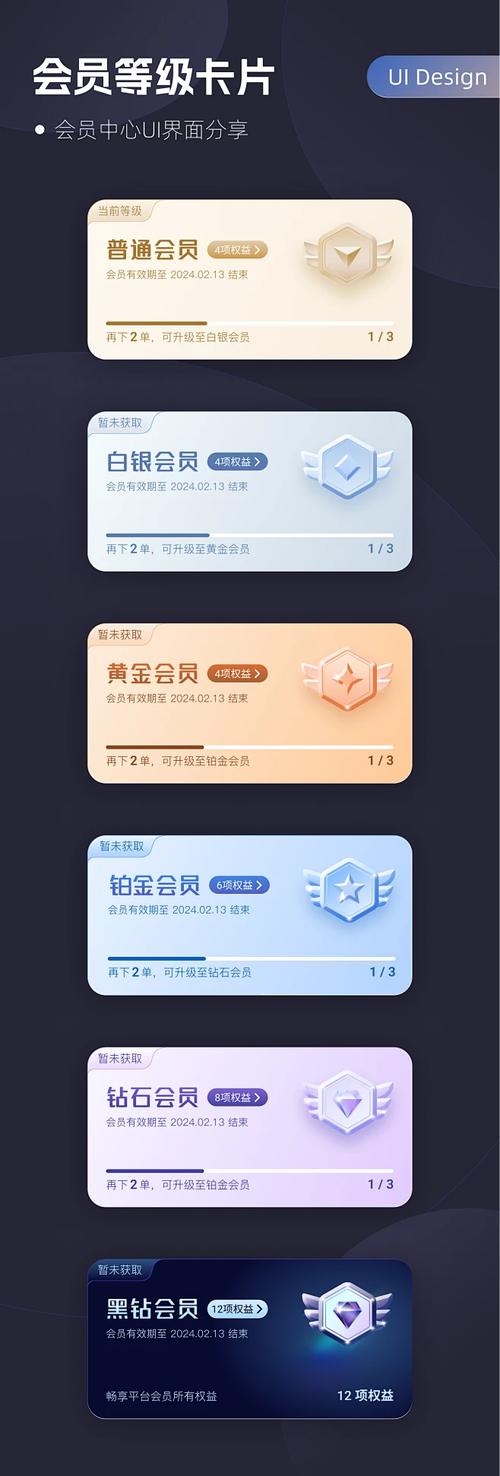盘视界永久会员图标