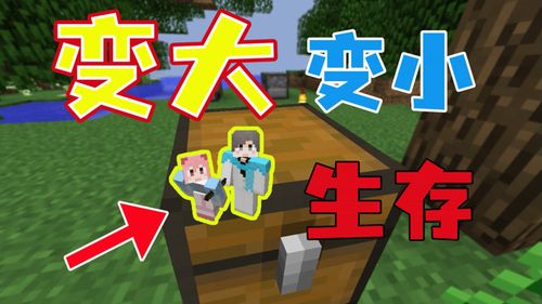畸变大小生存我的世界小立图标