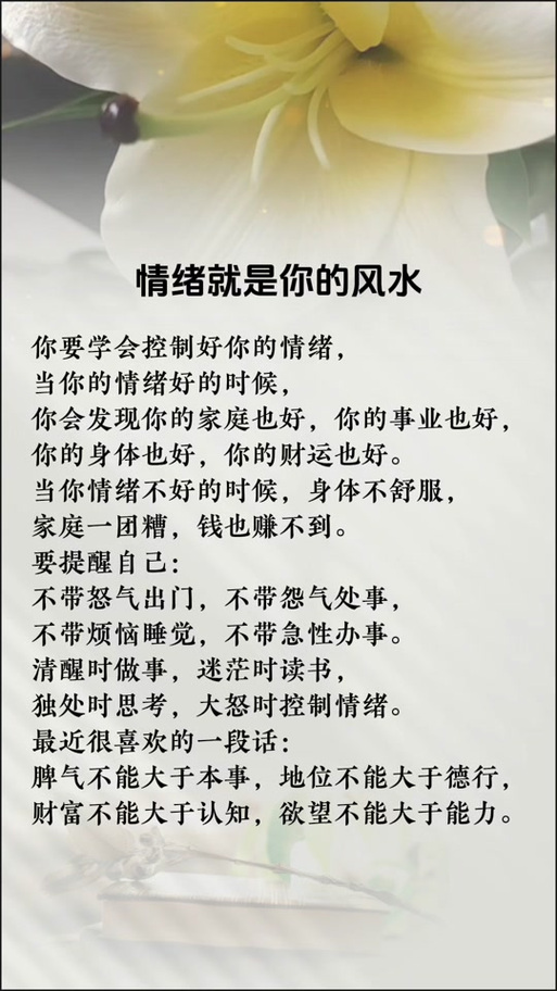 语言对自己的影响和能量图标