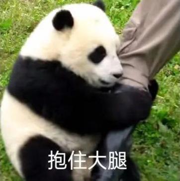 抱大腿表情包 gif图标