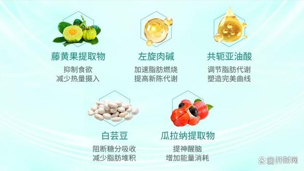 十大靠谱的减肥产品截图