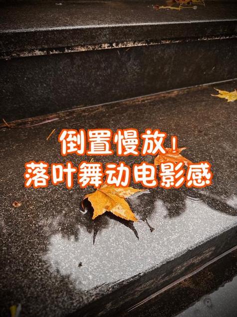 电影落叶在线观看免费