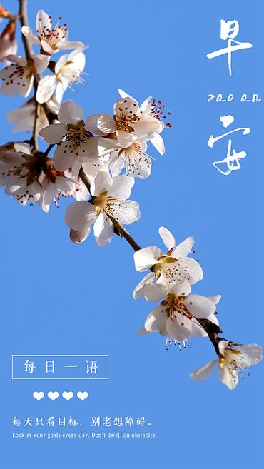 喜欢樱花的女孩的性格图标