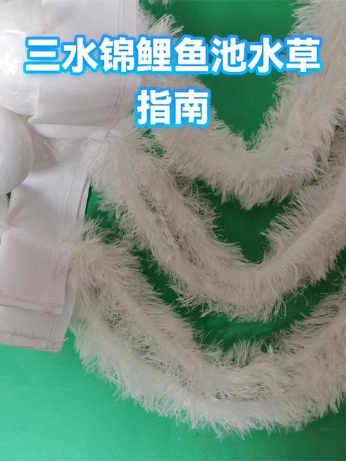 锦鲤最忌三种水草图标