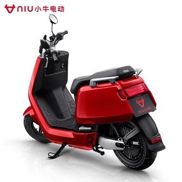 nqi小牛