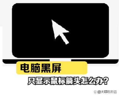 惠普黑屏只有鼠标箭头图标