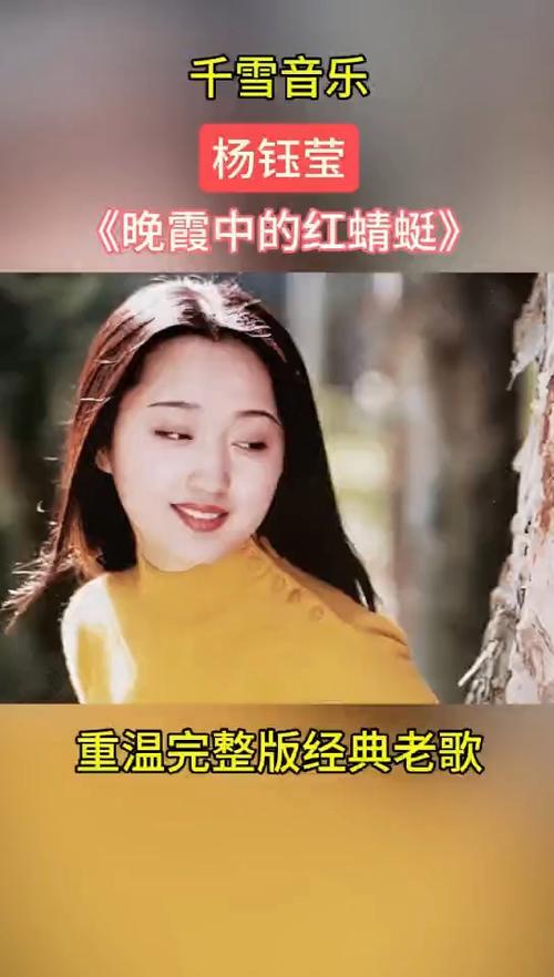 杨钰莹100首歌图标