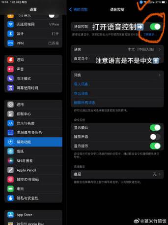 ipad怎么关闭语音控制图标