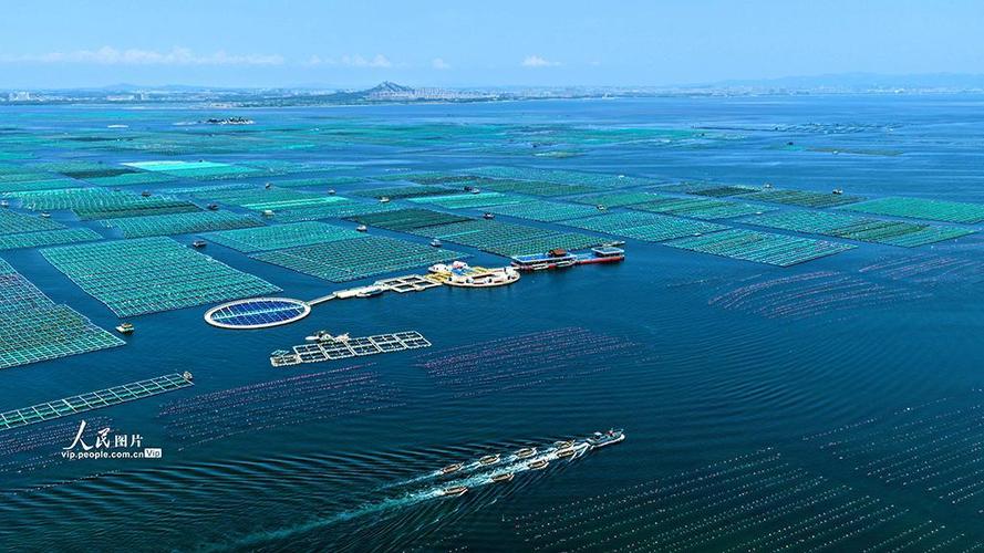 海洋牧场 渔业图标