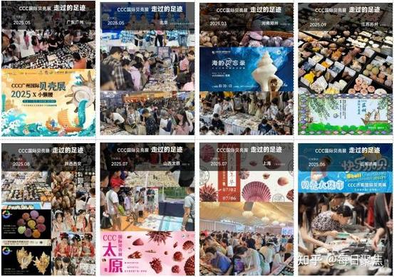 贝壳国际最新进展图标
