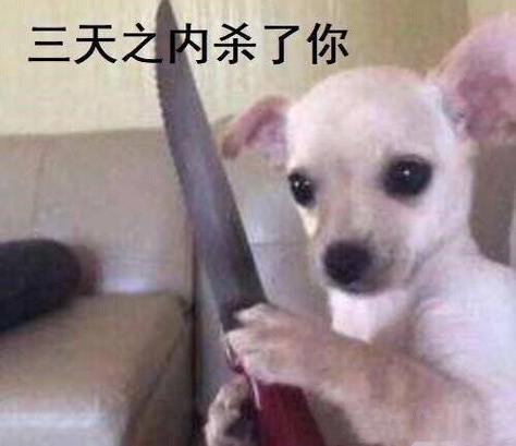 三天之内杀了你原版下载
