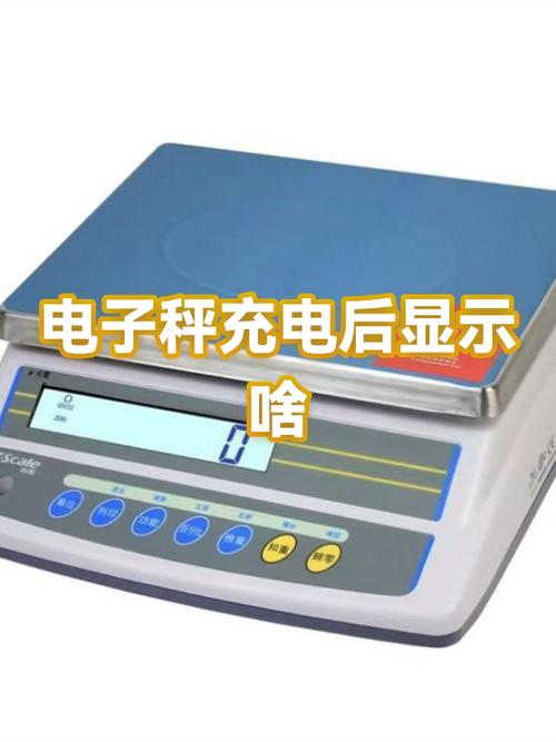 电子秤充电后还显示lo截图