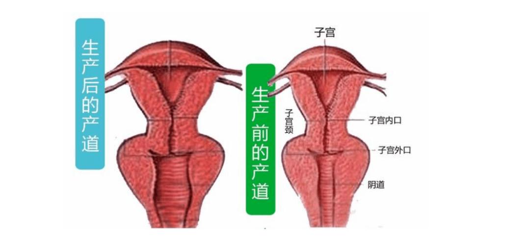 下面松弛是什么原因造成的图标