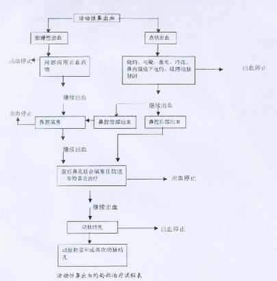 经常流鼻血挂什么科