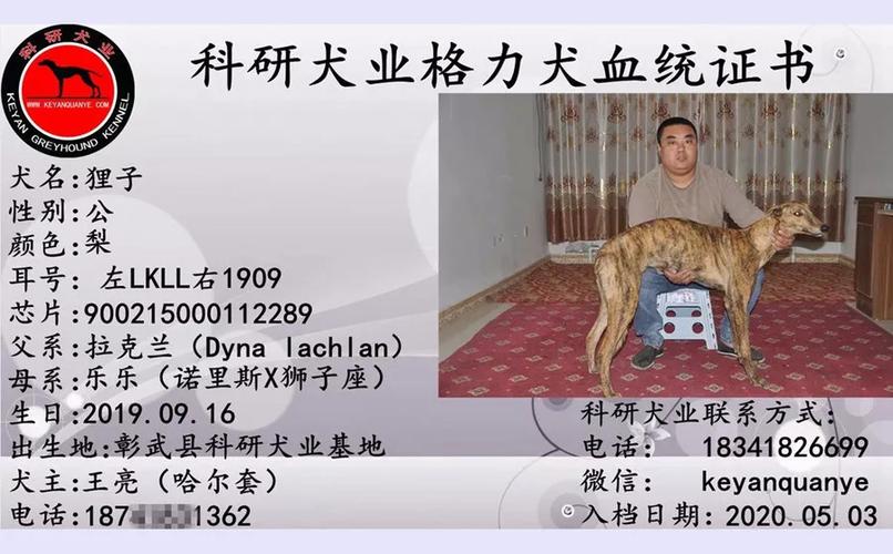 格力种公拉亚克图标
