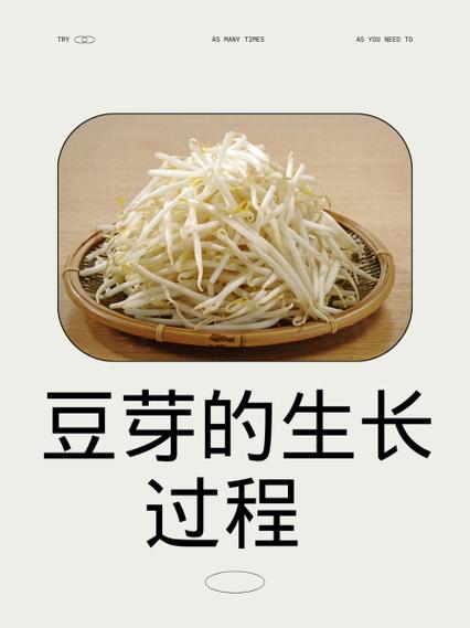 豆芽的拼音怎么写截图