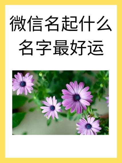 夫妻最吉利的微信名截图